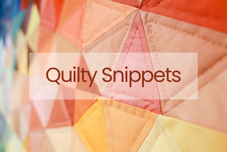 Quilty Snippets – Gingerly Quilt Co